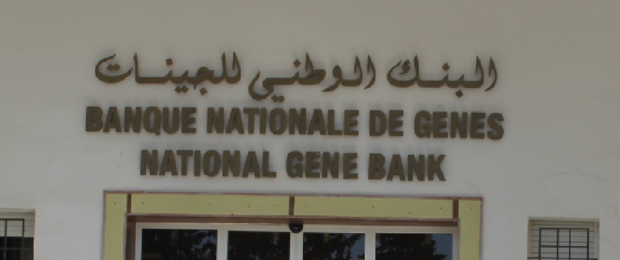 La BNG, une entité publique pas comme les autres